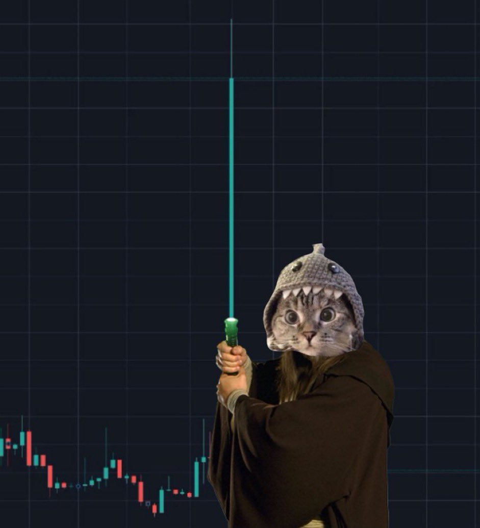 SharkCat - The Cat is a Shark